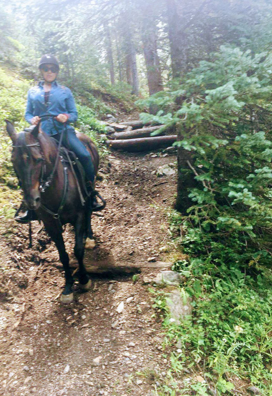 Surviving the Colorado Rockies on the Finnster! — ID MyHorse
