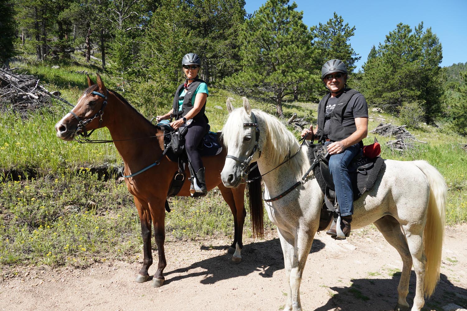 The Finnster is Improving! — ID MyHorse